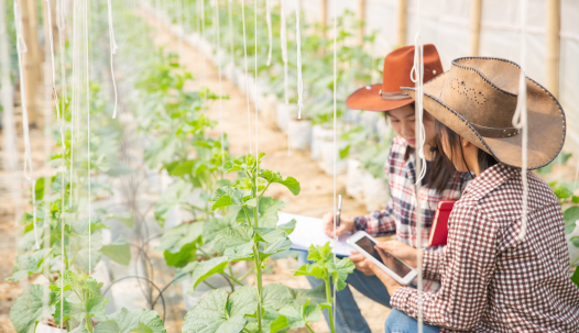 에코스마트팜 스마트팜교육 소개